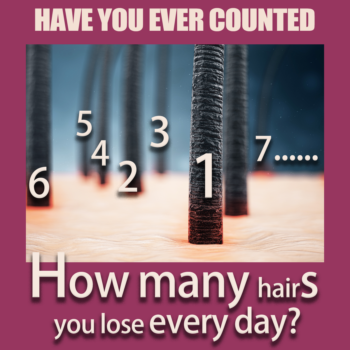 How many hair you loss everyday? – ingeware